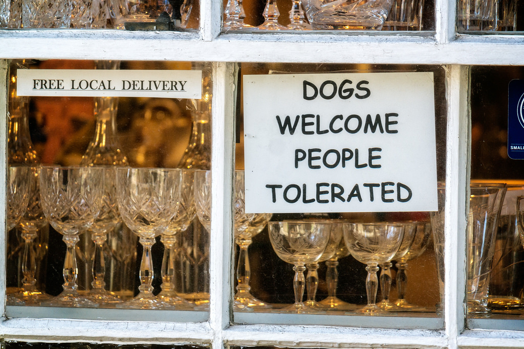 Dog-Friendly Bars in Grand Rapids: Summer 2017 Edition - Beer O'Clock GR